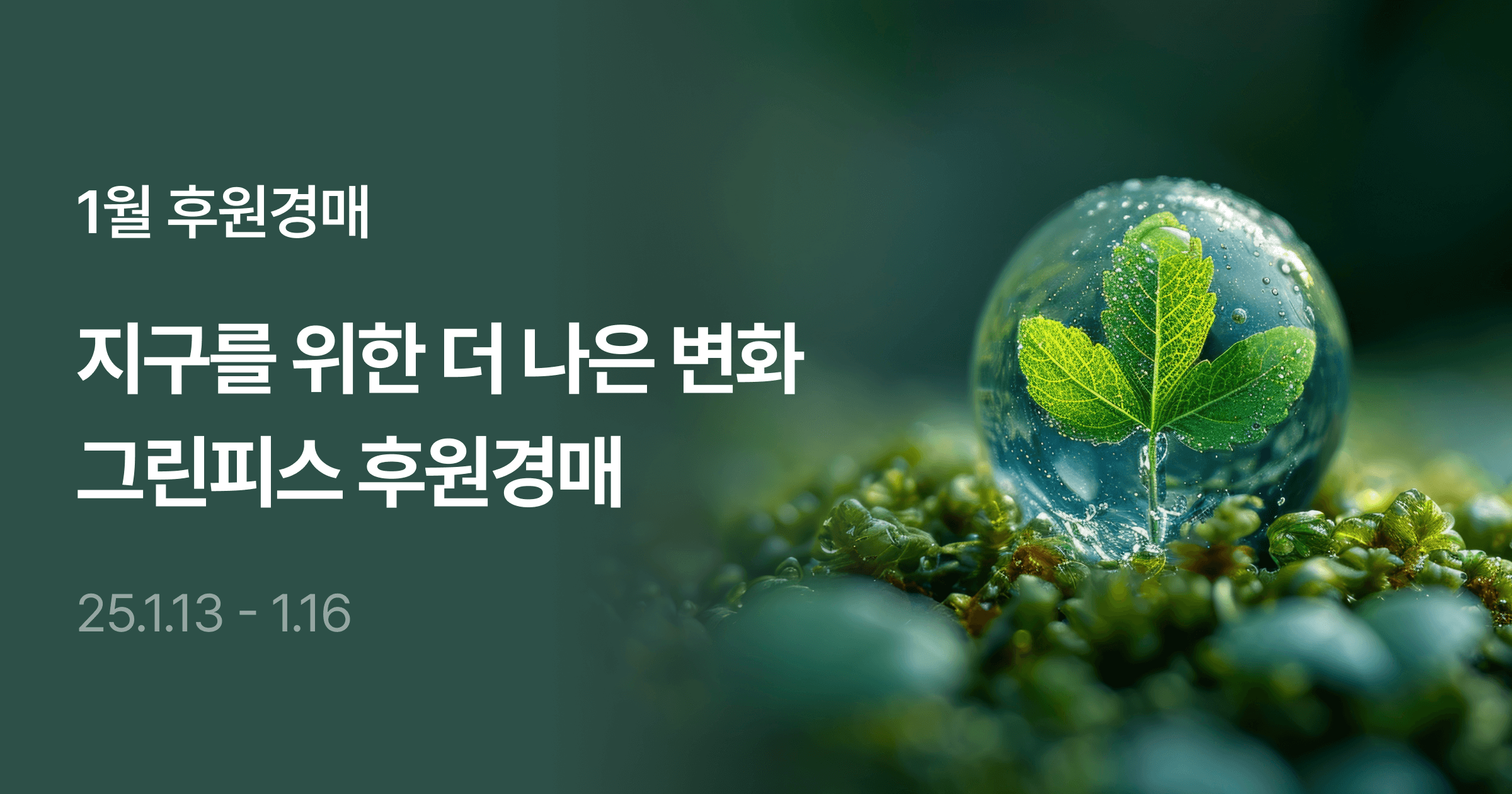 2차 그린피스 후원경매 | hypeN